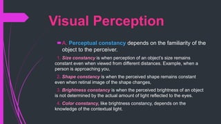 Psychology (sensation and perception) | PPTX