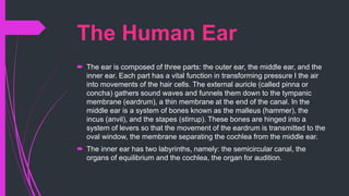 Psychology (sensation and perception) | PPTX