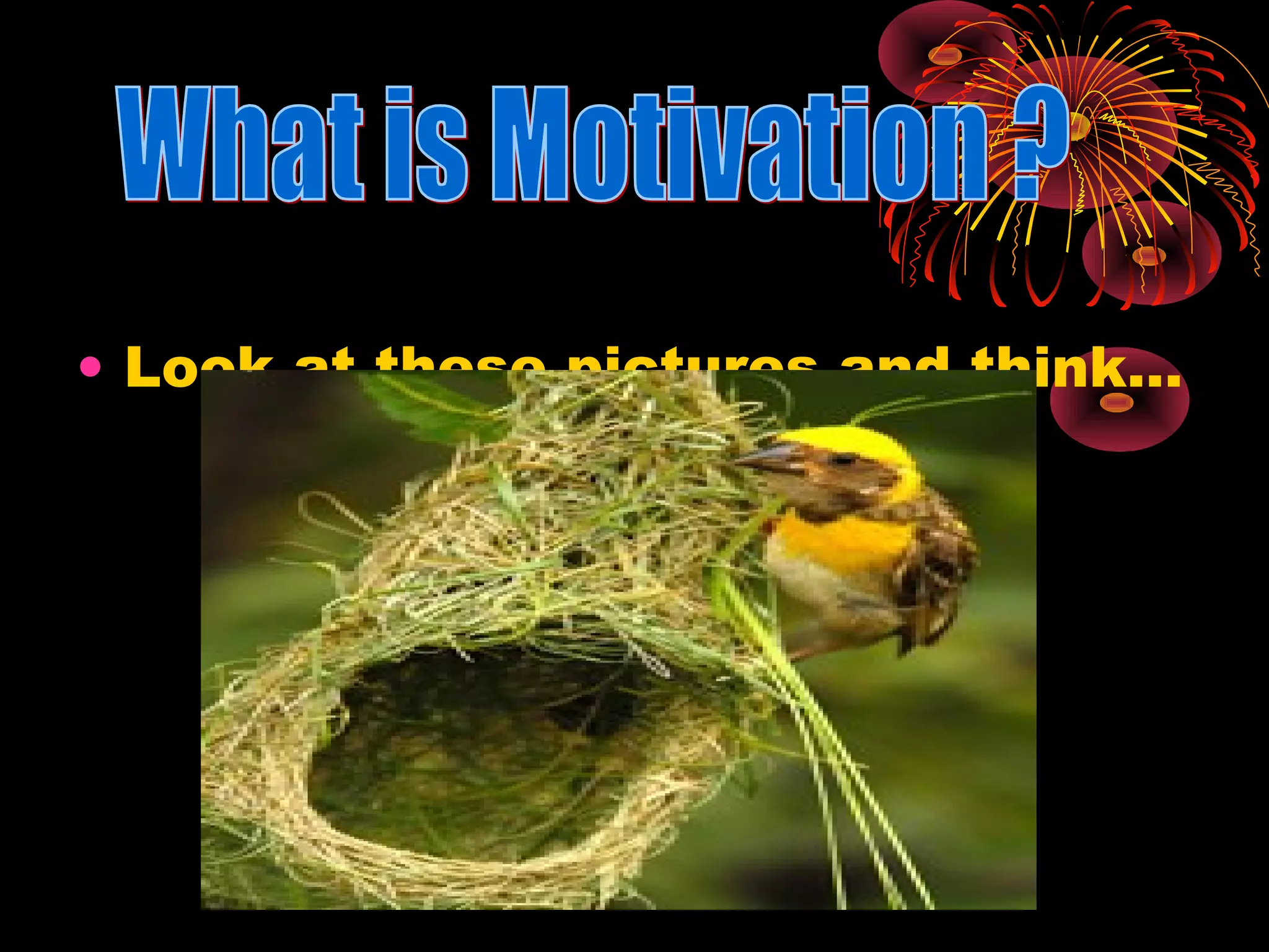 Psychology: Motivation,Types of Motivation & Theories of Motivation | PPT