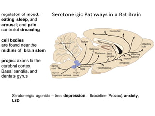 PSYCHOPARMACOLOGY presentation by profes | PPT
