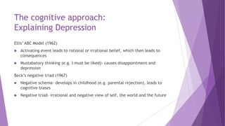 Psychopathology revision notes | PPTX