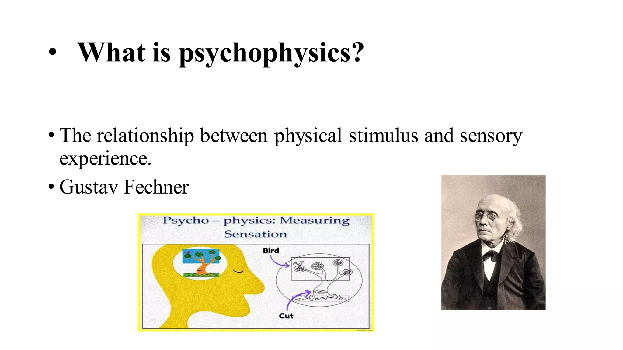 Psychophysics ppt | PDF