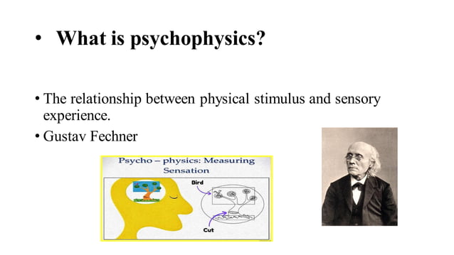 Psychophysics ppt | PDF | Physics | Science