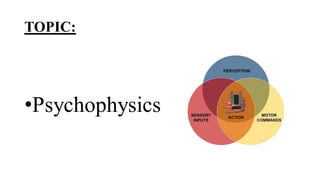 Psychophysics ppt | PPT