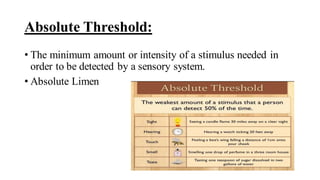 Psychophysics ppt | PPT