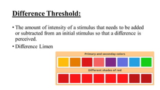 Psychophysics ppt | PPT