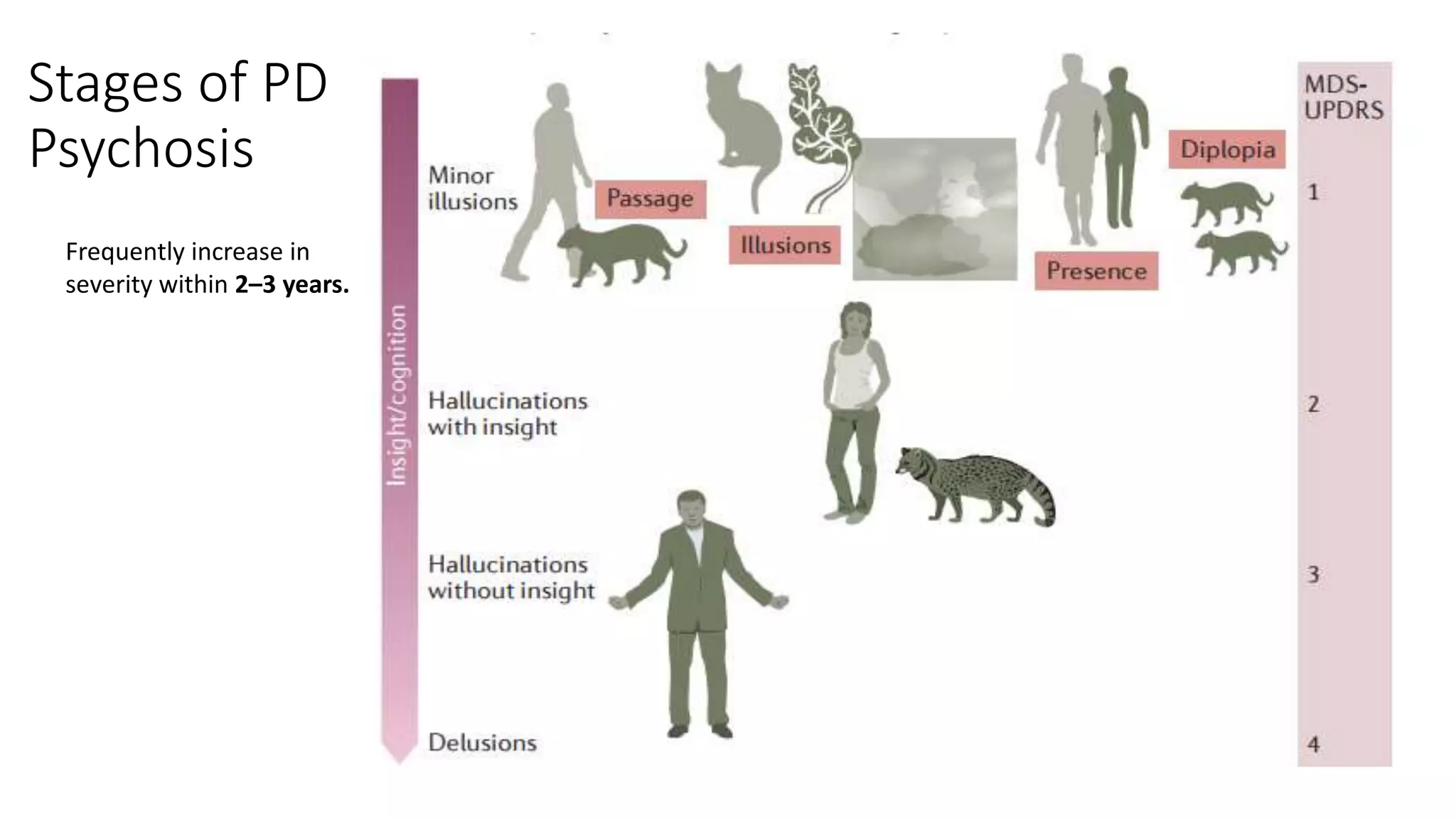 Psychosis in parkinsons disease | PPTX