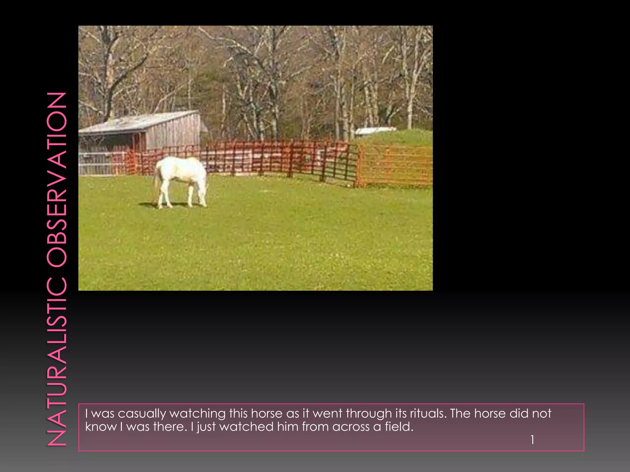 Psych project part 1 compressed | PPT