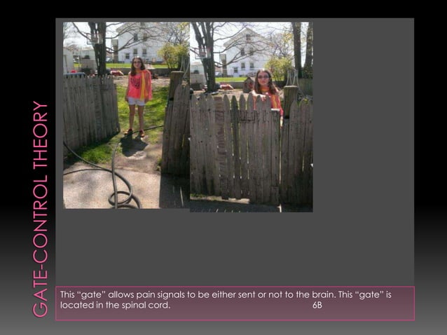 Psych project part 1 compressed | PPT