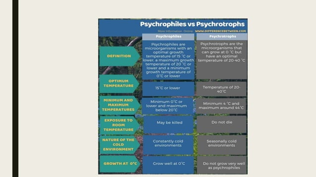 Psychrophiles and psychrotrophs | PPTX