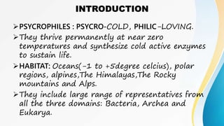 Psychrophilic enzymes -cold adapted enzyme kinetics | PPTX