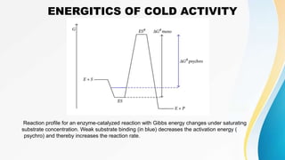 Psychrophilic enzymes -cold adapted enzyme kinetics | PPTX