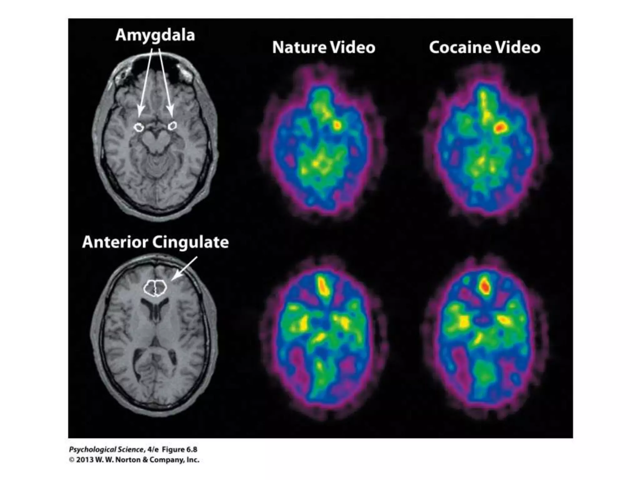 Lecture PPTs_Ch6 | PPTX