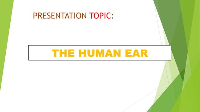 Human Ear | PPT