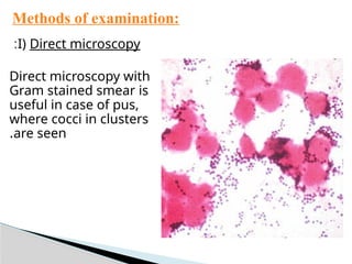 psycoe .....pptx......................... | PPT