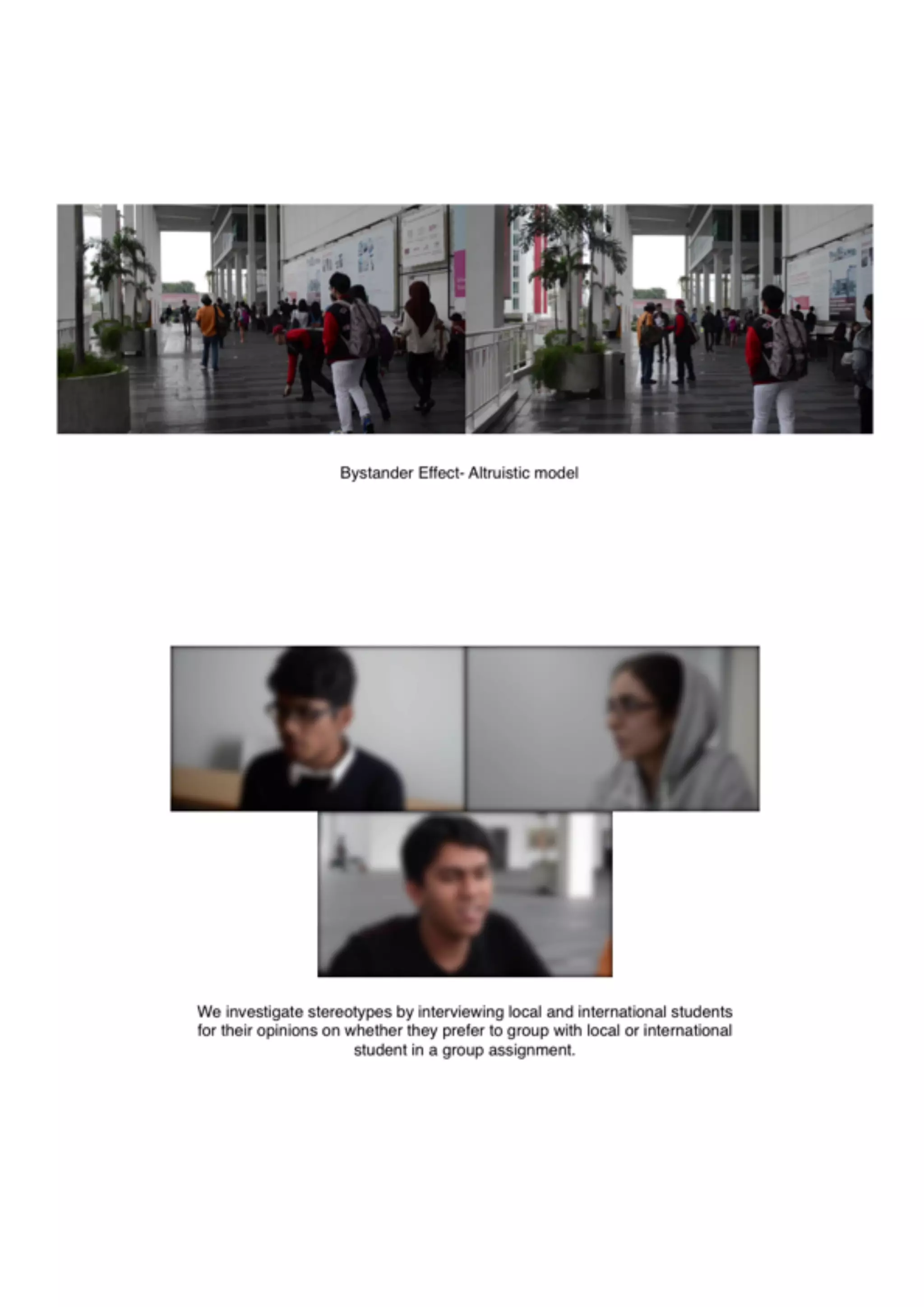 Psychology final project report | PDF