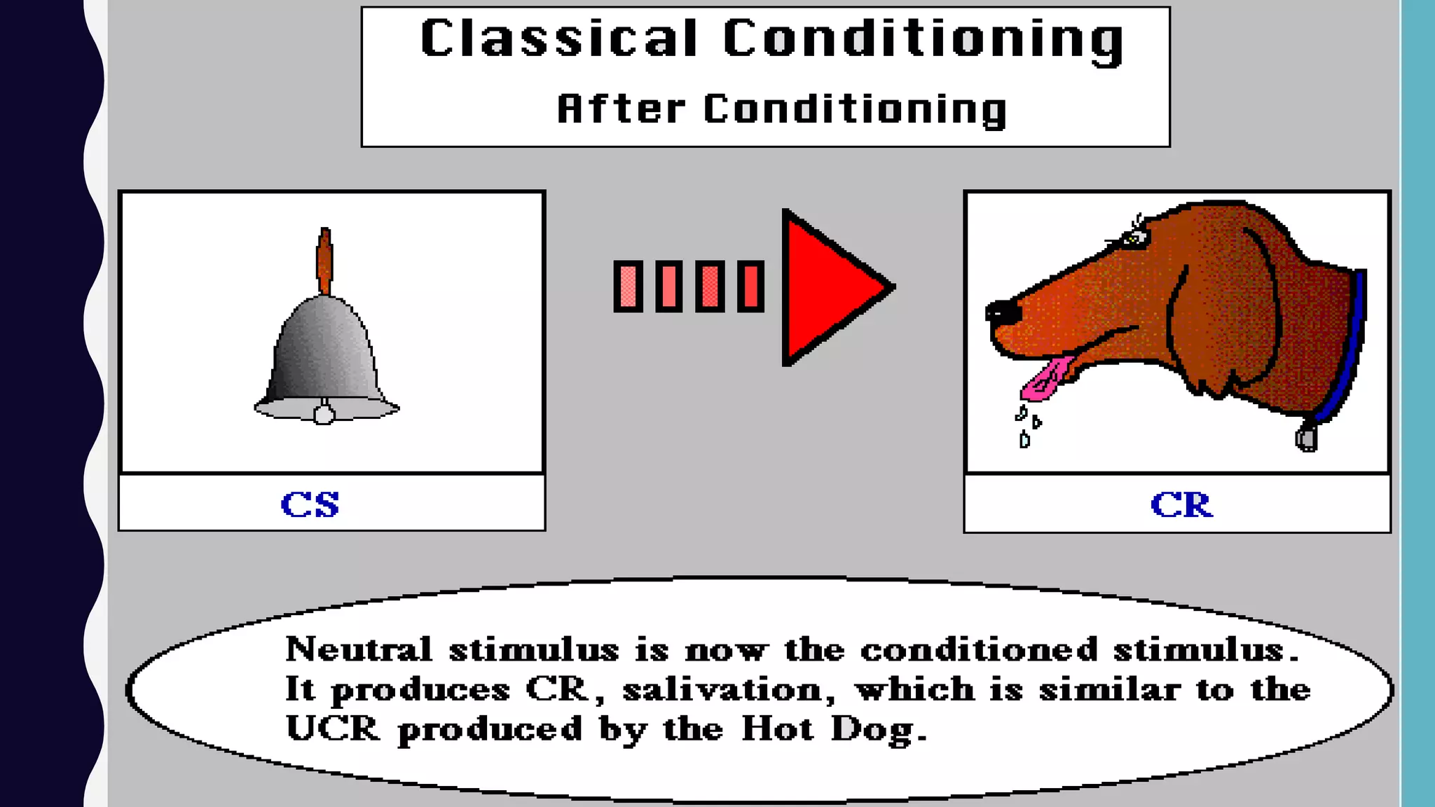 Classical and operant conditioning | PDF