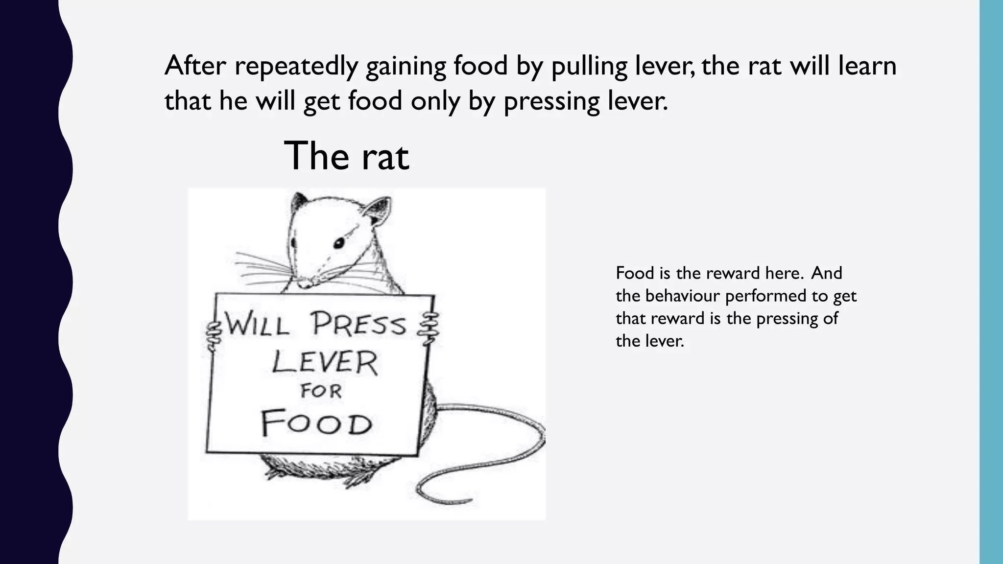 Classical and operant conditioning | PDF