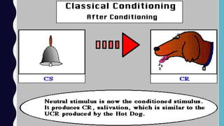 Classical and operant conditioning | PDF