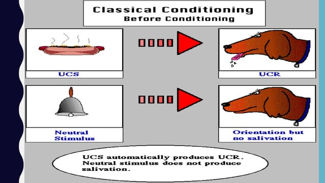 Classical and operant conditioning | PDF | Science