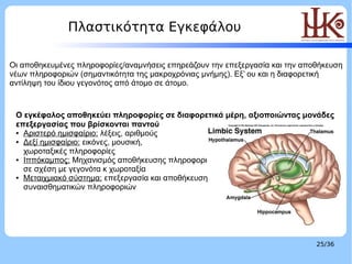 Νευροβιολογία της Γνώσης | PPT
