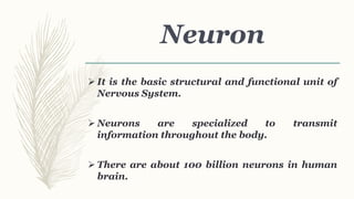 Neuron | PPTX