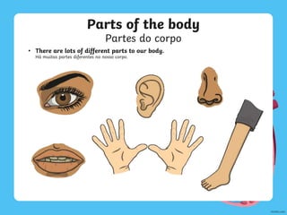 pt-t-t-252726-human-body-information-powerpoint-english-portuguese.ppt