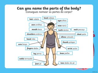 pt-t-t-252726-human-body-information-powerpoint-english-portuguese.ppt