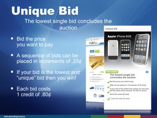 Pta Underground Partner Program | PPT