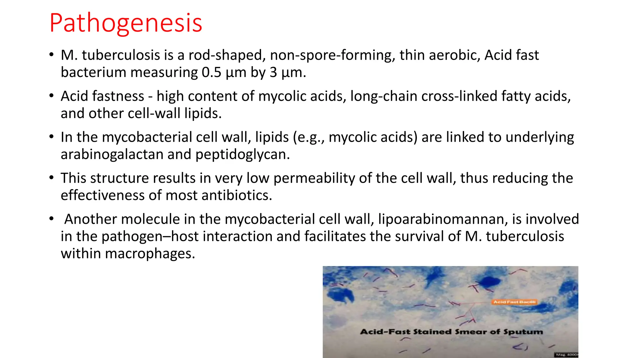 Pulmonary tuberculosis latest guidelines and treatment | PPTX