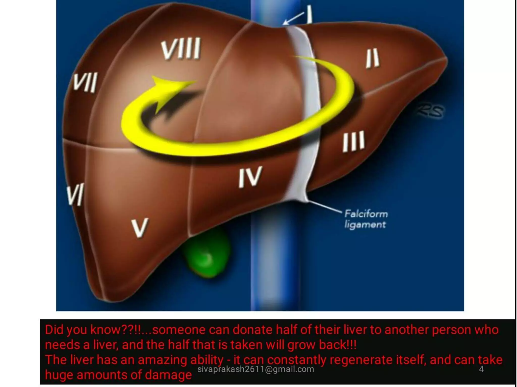 PTBD Percutaneous transhepatic biliary drainage | PPTX