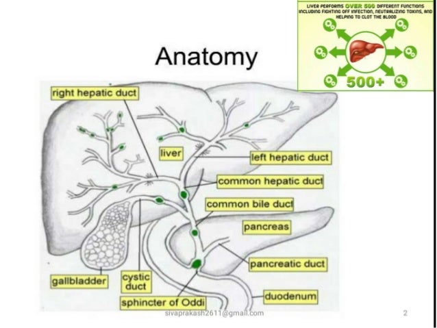 PTBD Percutaneous transhepatic biliary drainage