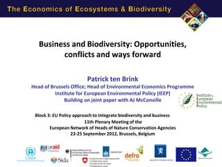 Patrick ten Brink of IEEP Business and Biodiversity TEEB ENCA presentation | PPT