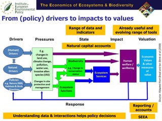 Patrick ten Brink of IEEP Business and Biodiversity TEEB ENCA presentation | PPT