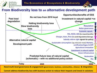 Patrick ten Brink of IEEP Business and Biodiversity TEEB ENCA presentation | PPT