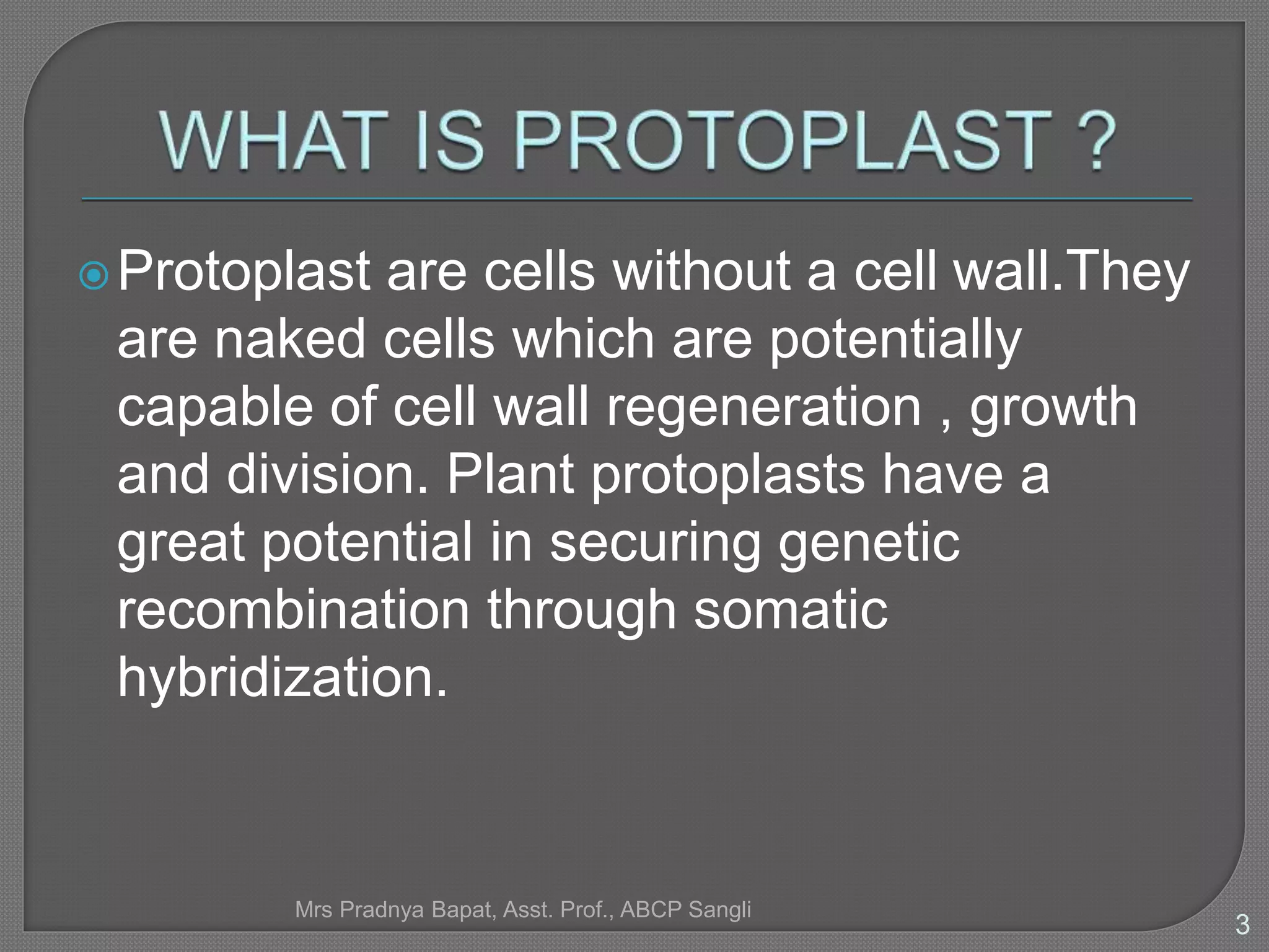 Protoplast technology and plant cell immobilization | PPTX