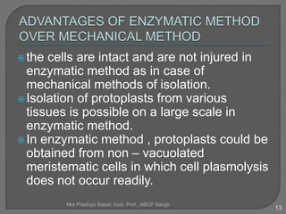 Protoplast technology and plant cell immobilization | PPTX