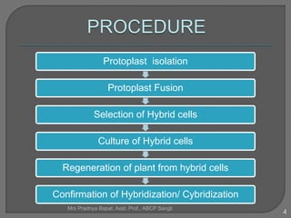 Protoplast technology and plant cell immobilization | PPTX