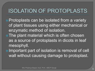 Protoplast technology and plant cell immobilization | PPTX