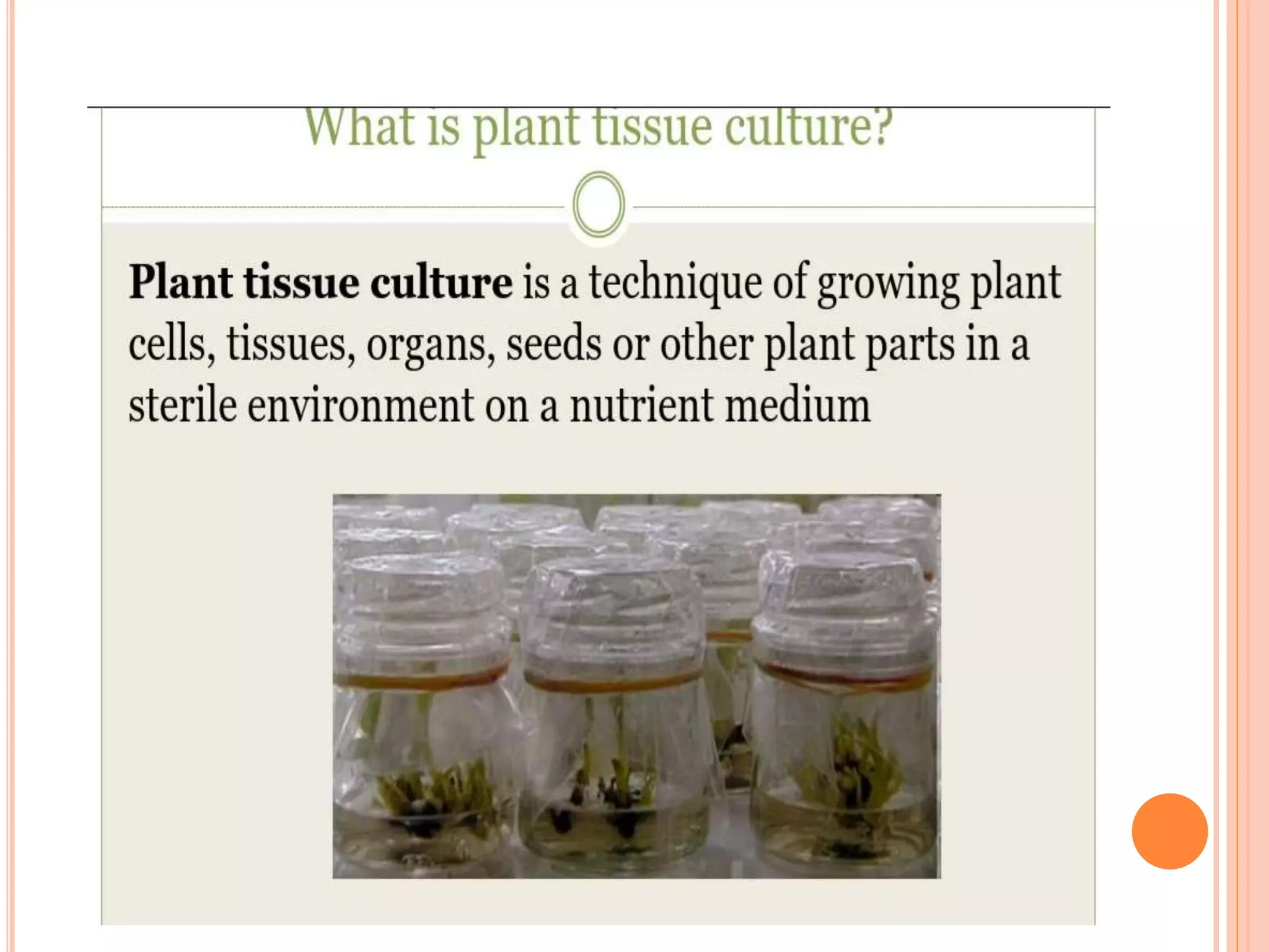 Plant Tissue culture | PPT