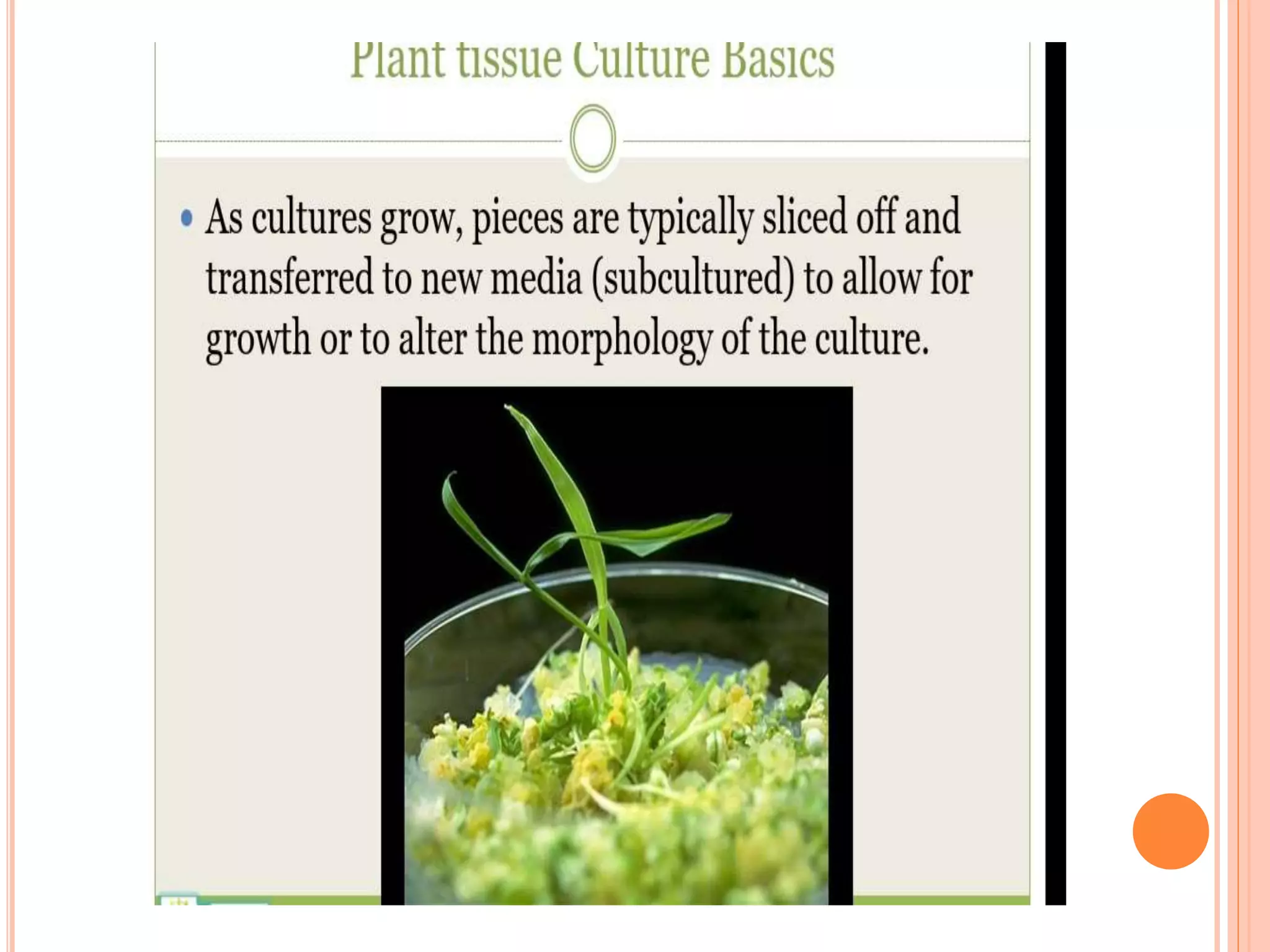 Plant Tissue culture | PPT