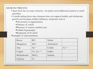 Plant tissue culture | PPTX