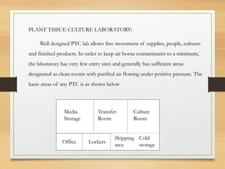 Plant tissue culture | PPTX