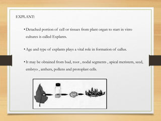 Plant tissue culture | PPTX