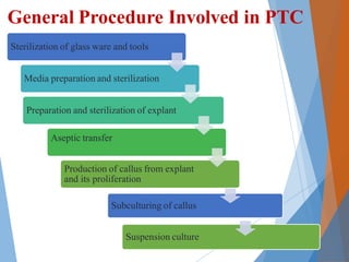 plant tissue culture techniques in education | PDF