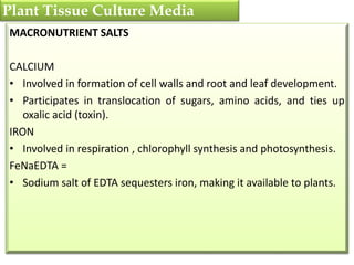 Plant Tissue Culture - Media.pptx