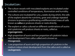 Introduction to Plant Tissue Culture | PPTX