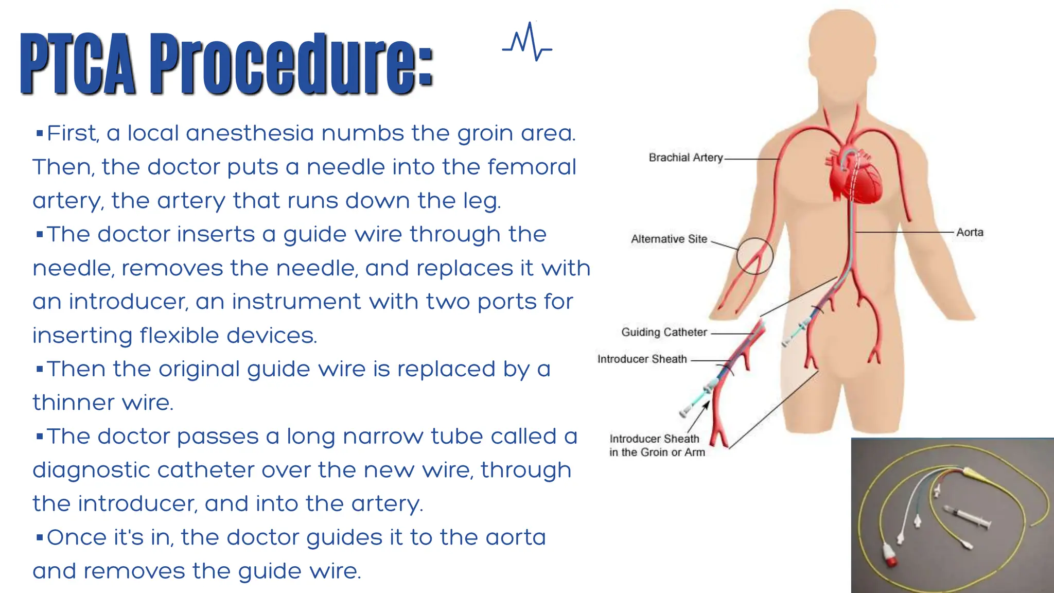 Percutaneous transluminal coronary angioplasty (PTCA) and coronary artery bypass graft (CABG) | PPTX