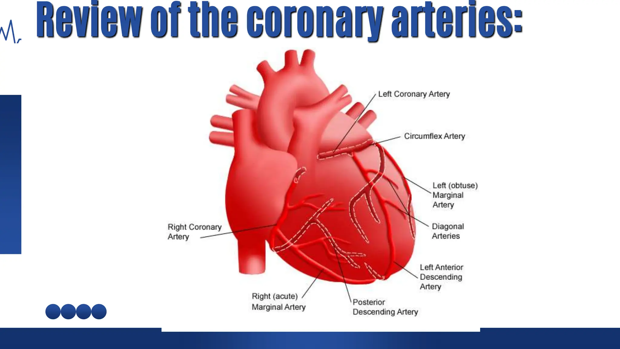 Percutaneous transluminal coronary angioplasty (PTCA) and coronary ...
