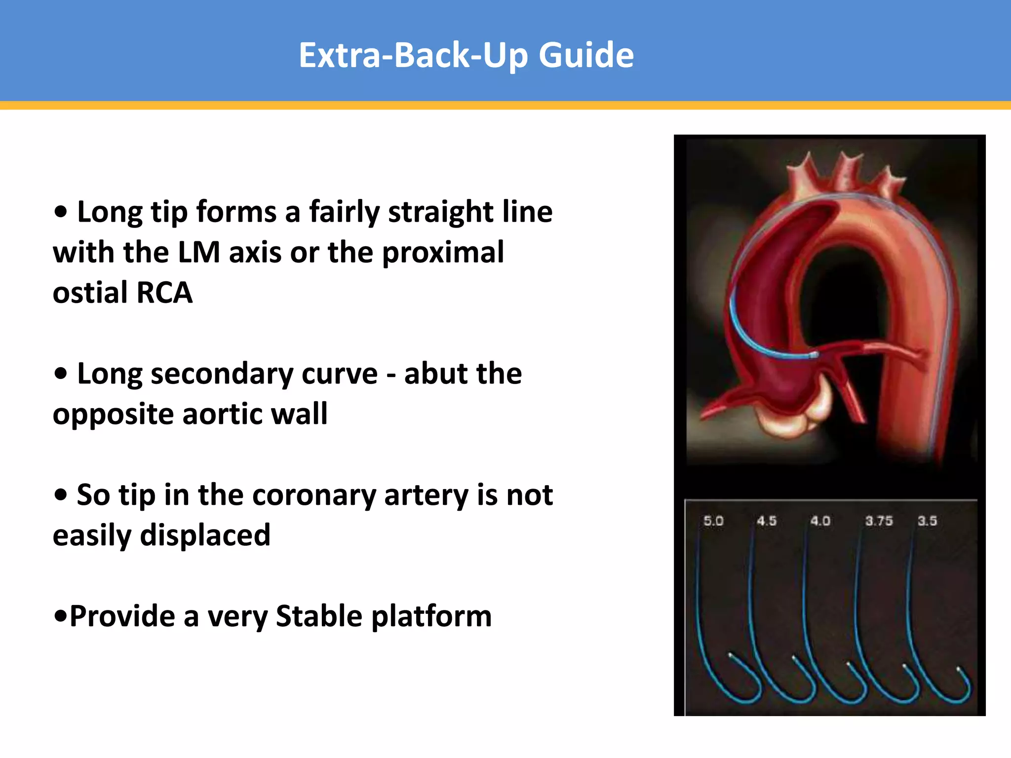 Catheters used in Angiography & angioplasty | PPTX